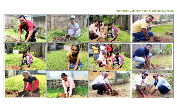 Blog Stories - Triple Holdings